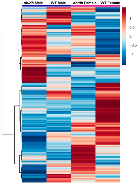 Sex Modifies The Impact Of Type 2 Diabetes Mellitus On The Murine Whole