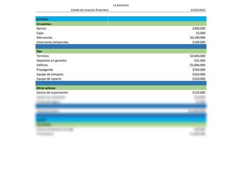 Solution Balance General Forma De Reporte Y De Cuenta Ejercicio3