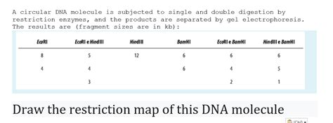 Solved A Circular DNA Molecule Is Subjected To Single And Chegg