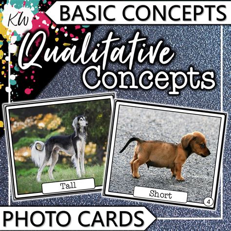 Basic Concepts The Elementary Slp