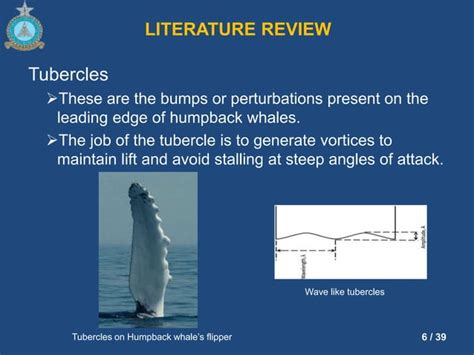 Effect Of Tubercles On Flapping Wing In Energy Extraction Modepptx
