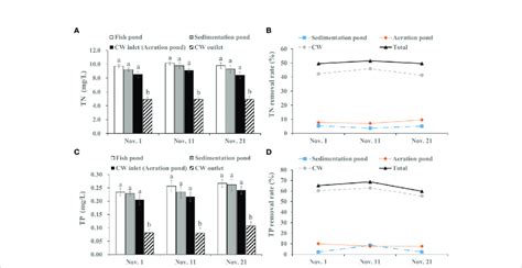 Removal Efficiency Of Integrated Cw System On Tn And Tp During The