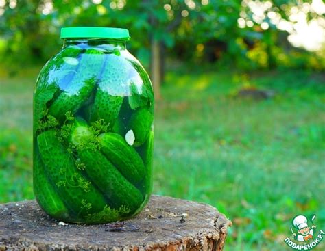 Малосольные огурцы в банке – кулинарный рецепт