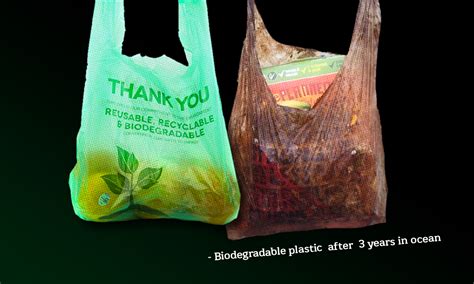 Bioplastic Web The Momentum