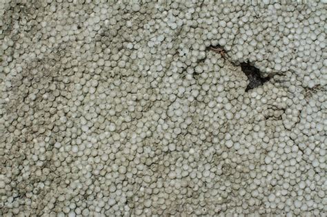 Premium Photo Polystyrene Texture And Pattern