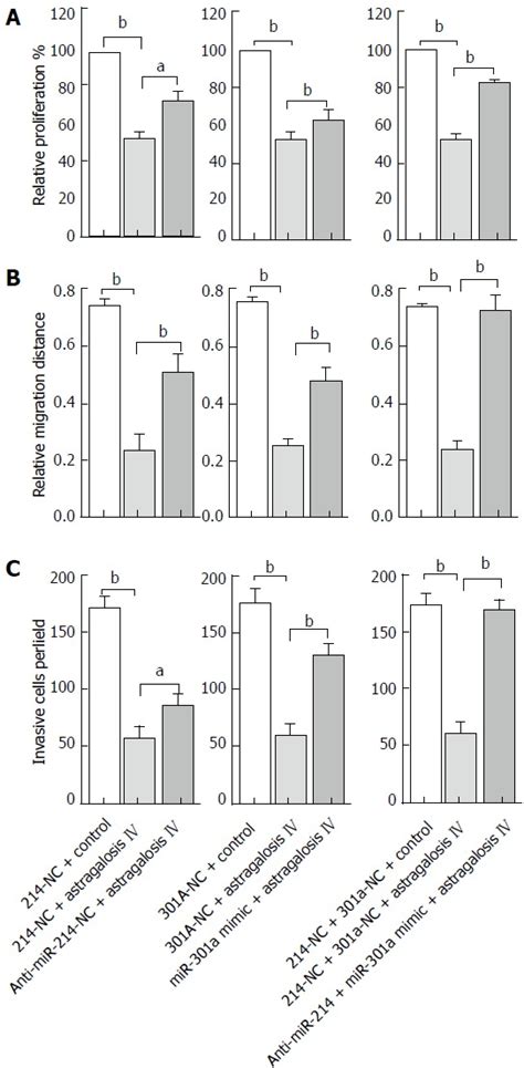 Astragaloside Iv Inhibits Pathological Functions Of Gastric Cancer