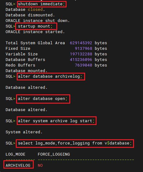 Oracle 19c Dataguard配置oracle 19c Dg Csdn博客