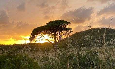 Casa Pinea 4 6 Personen Ferienhäuser Pina E Pinea