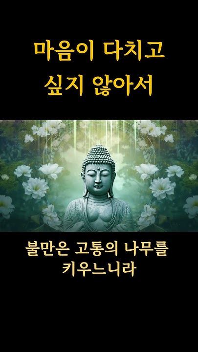 마음이 다치고 싶지 않아서 마음공부 마음공부 명언 명언 자기수행 자기수행 좋은글 좋은글 마음의소리로쓰는글 마음의소리로쓰는글 무설스님 지혜 지혜 철학