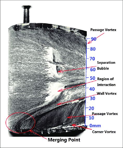 Oil Flow Visualization On Suction Surface Of Linear Cascade Download Scientific Diagram