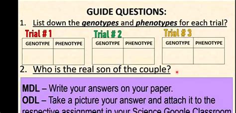 GUIDE QUESTIONS 1 List Down The Genotypes And StudyX