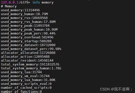 Vs Code 离线安装 Codelldb 包 Acquiring Codelldb Platform Package