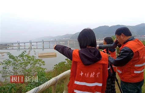 湖北丹江口库区省级湿地自然保护区管理局开展鸟类迁徙通道专项巡护水鸟动物周边