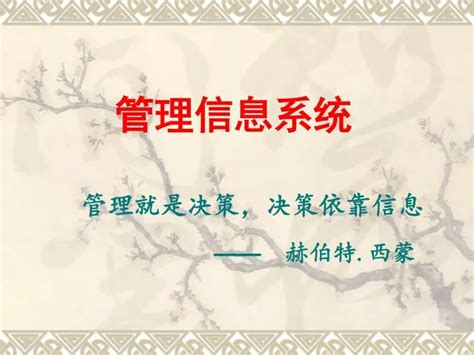 Ppt 管理信息系统 Powerpoint Presentation Free Download Id 5821987