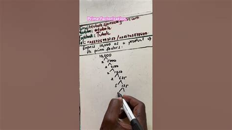 Prime Factorization Maths Viral Youtube