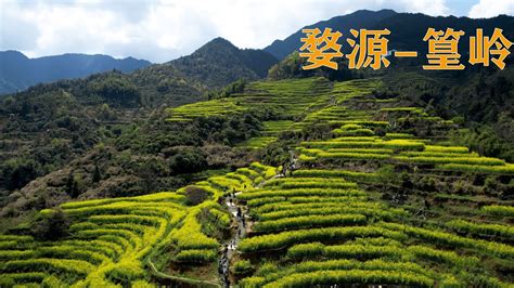 打卡婺源篁岭，漫山的油菜花海和古村“天街”，让你来了就不想走。闻名遐迩的花溪水街，一个古老的水车转个不停。 Youtube