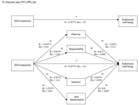 The Path Model For Multiple Mediation Analysis In The Quantitative