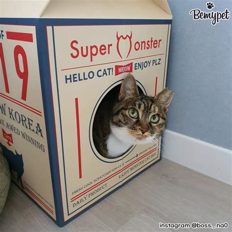 귀여운 디자인의 고양이 스크래쳐 추천 13가지 포인트 가구로도 쓸 수 있어요 비마이펫 라이프