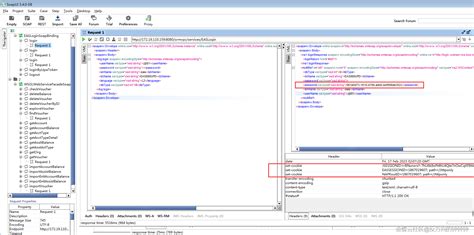 soapui测试webservice接口（集群方式）