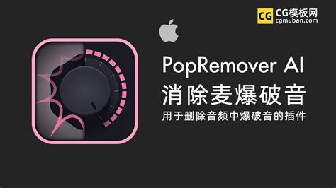 Pr插件 Pr转场 Pr磨皮 Pr调色免费下载网站｜cg模板网 Cg模板网
