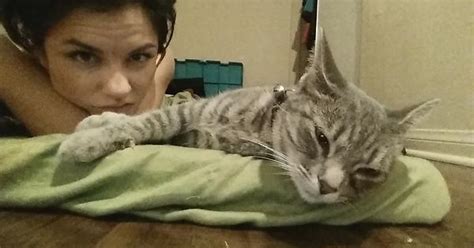 I Am The Christmas Cat Lady Fear My Selfie Imgur
