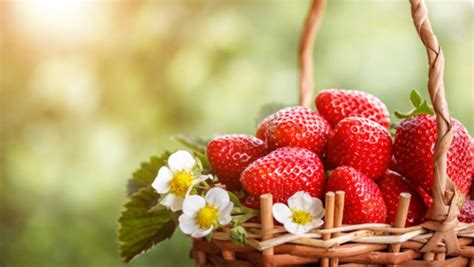 Яжте 800 гр плодове всеки ден Съновникът