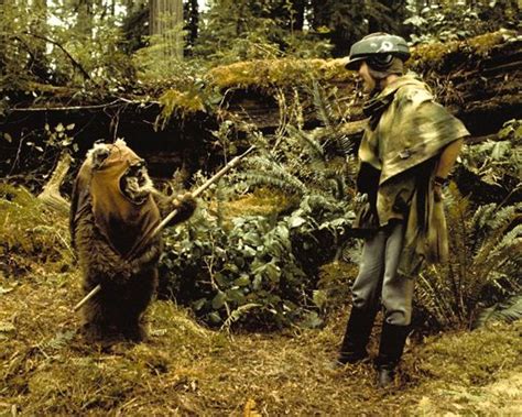 10 Best Images About Wicket Wystri Warrick On Pinterest Behance Tvs