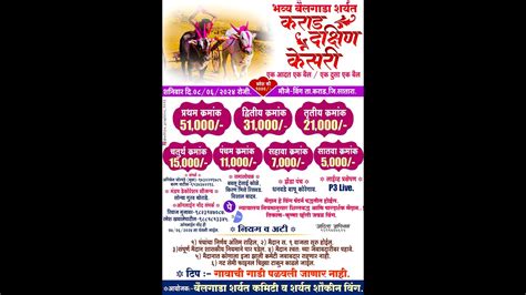 कराड दक्षिण केसरी भव्य बैलगाडा शर्यत एक आदत एक बैल एक दूस्सा एक बैल