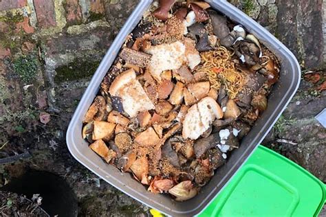 Compostage obligatoire au ᵉʳ janvier que faut il faire concrètement pour être en
