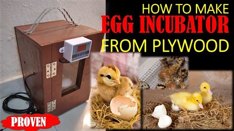 How To Make Egg Incubator From Plywood Proven Item Diy Youtube