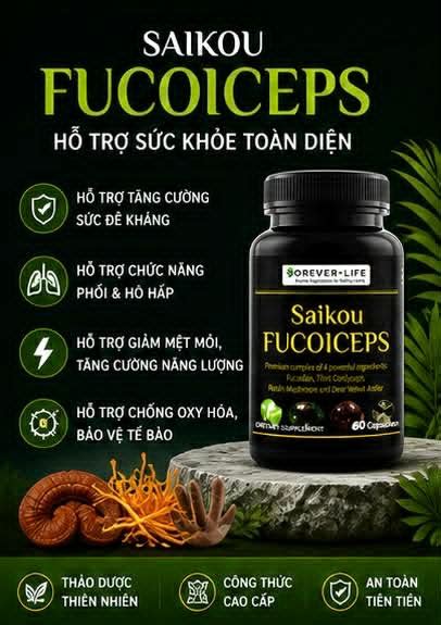 Fl03 Saikou Fucoiceps TỨ QuÝ ĐẠi BỔ Foreverlifeusa