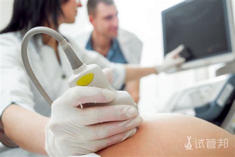 双胞胎四维彩超多少钱 筛查内容有哪些试管婴儿百科 试管邦