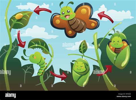 Life Cycle Stock Vector Images Alamy