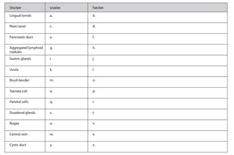 CH Table Diagram Quizlet