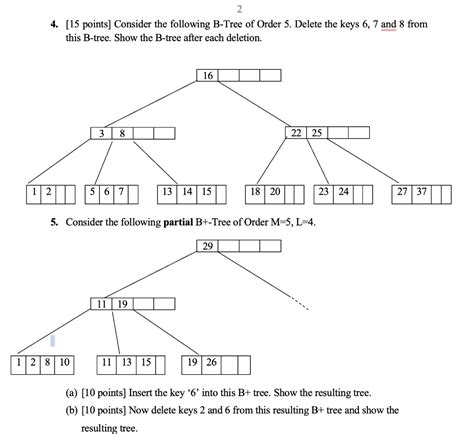 Solved Points Consider The Following B Tree Of Order Chegg