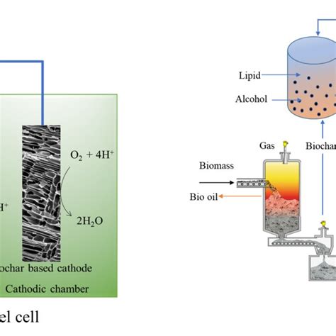 Trends In Renewable Energy Production Employing Biomass Based Biochar Request Pdf