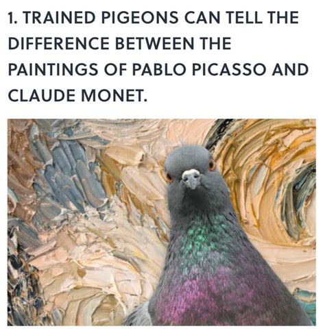 1 TRAINED PIGEONS CAN TELL THE DIFFERENCE BETWEEN THE PAINTINGS OF
