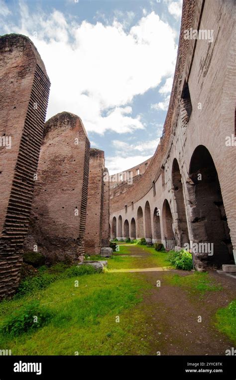 The Colosseums Original Latin Name Was Amphitheatrum Flavium Often