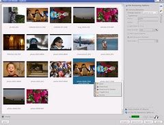 Features DigiKam Photo Management Program