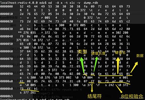 【redis源码】轻松看懂rdb文件 四 如何查看rdb文件 csdn博客