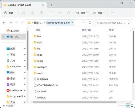 Tomcat环境变量配置教程及常见问题解决方法 Csdn博客