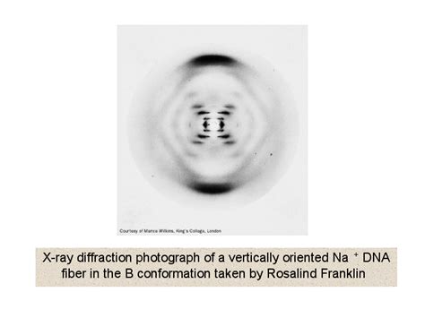 Print Of Xray Diffraction Photograph Of Dna Dna And Social