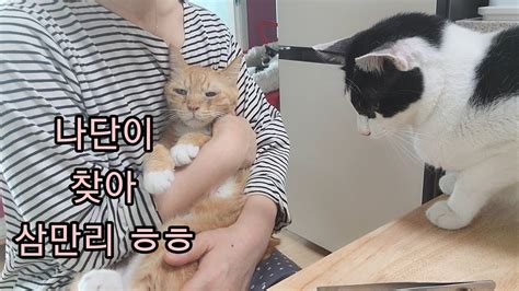 나단이 찾아 삼만리 YouTube