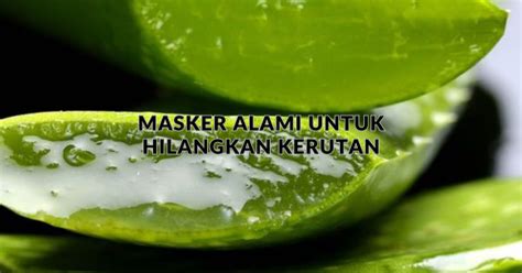 5 Masker Alami Untuk Hilangkan Kerutan Wajah Glowing Tampak Lebih Muda