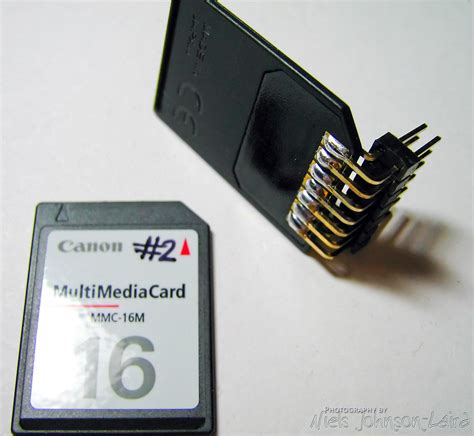 HARD WIRED SECURITY SYSTEM HARD WIRED Hard Wired Security System Wildlife Surveillance