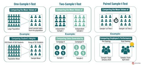 T Test Formula Calculation With Examples And Excel Template Educba