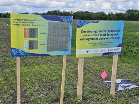 This Year Has Been An Exceptional Field Season For The Digital Weed