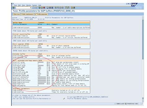 how to analyze memory problems for sap systems on sap community