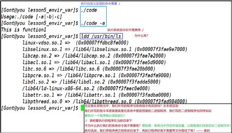 Linux —— 环境变量 Csdn博客