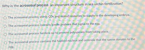 Solved Why Is The Acrosomal Process An Important Structure